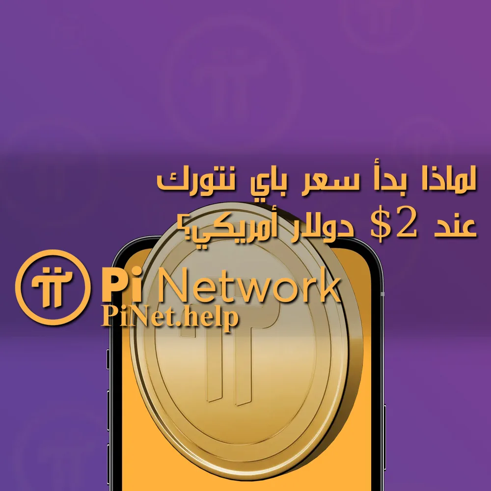 لماذا بدأ سعر باي نتورك عند 2 دولار أمريكي؟ | Pinet.help